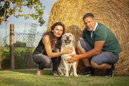 男人和女人玩拉布拉多犬 3高清摄影大图-千库网