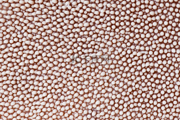 Shingled Hedgehog 蘑菇的孢子刺高清摄影大图-千库网