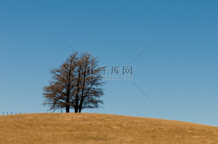 山上的树木形成高清摄影大图-千库网