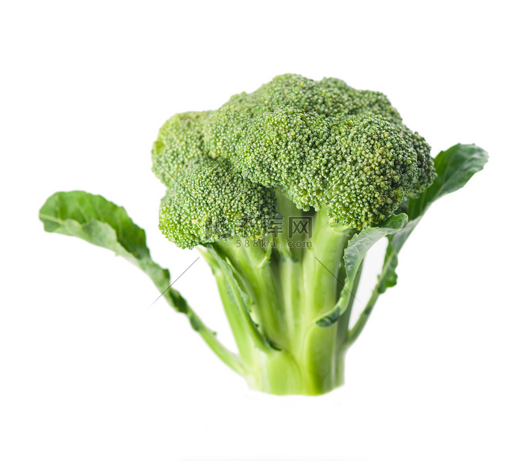孤立在白色背景上的新鲜西兰花卷心菜高清摄影大图-千库网