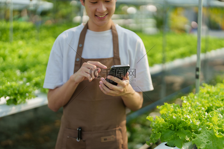 农户用手机查看客户订单，表现出收获水培蔬菜的喜悦。高清摄影大图-千库网
