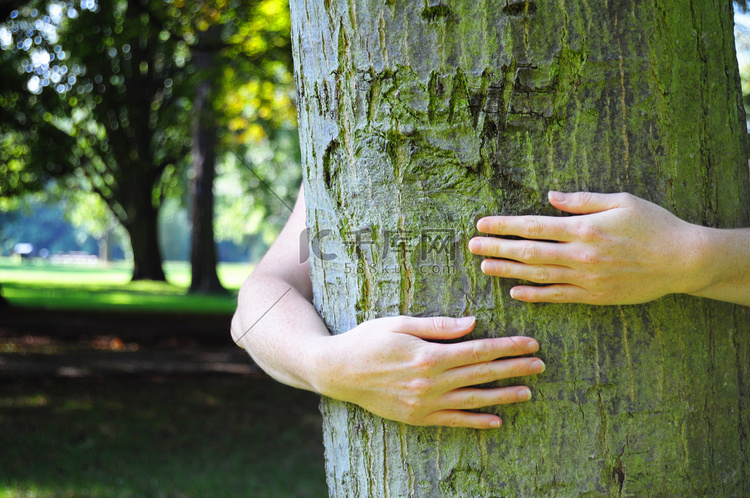 自然高清摄影大图-千库网