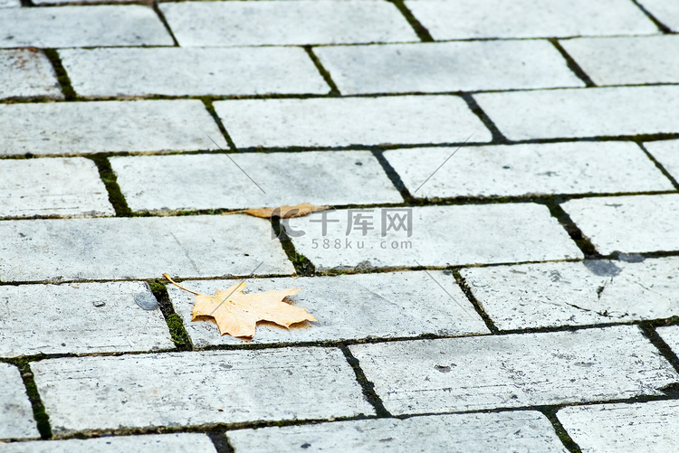 沿路的秋天叶子高清摄影大图-千库网