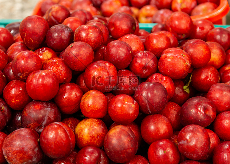 新鲜的红李子高清摄影大图-千库网