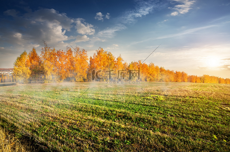 秋天的森林和田野高清摄影大图-千库网