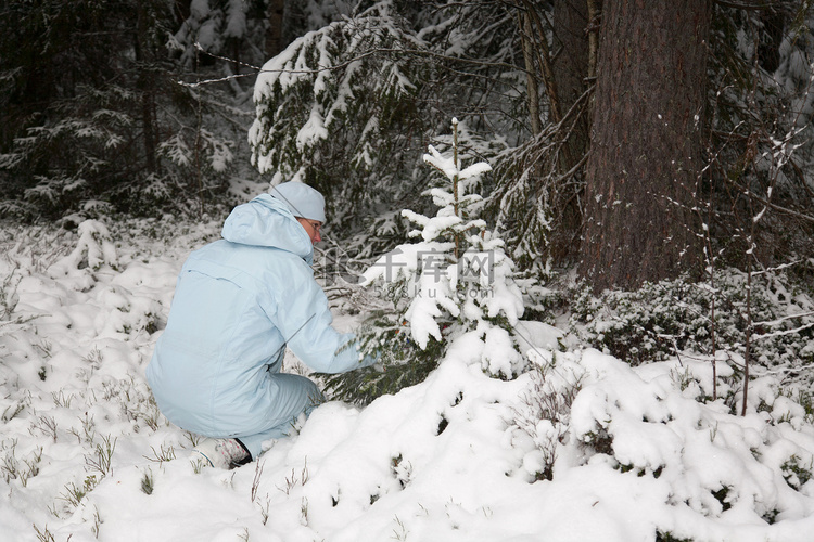 女孩雪冷杉云杉冬季森林高清摄影大图-千库网