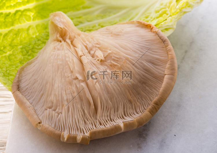 牡蛎高清摄影大图-千库网
