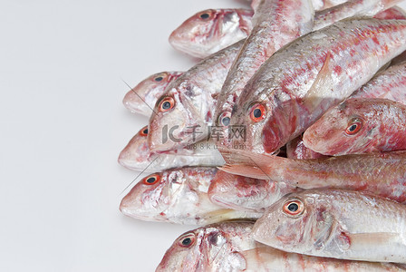 红鲻鱼。高清摄影大图-千库网
