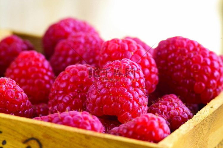 覆盆子高清摄影大图-千库网