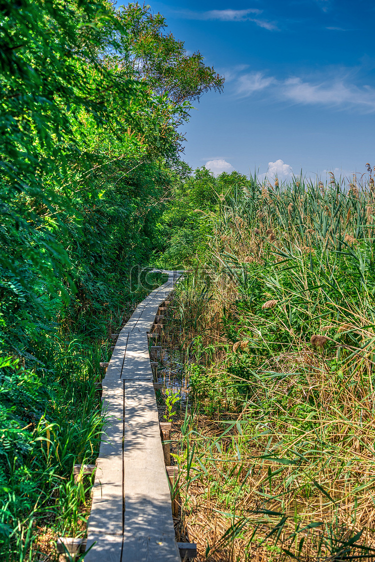 多瑙河三角洲零公里，乌克兰高清摄影大图-千库网