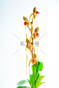 booth摄影图片-booth摄影作品-千库网