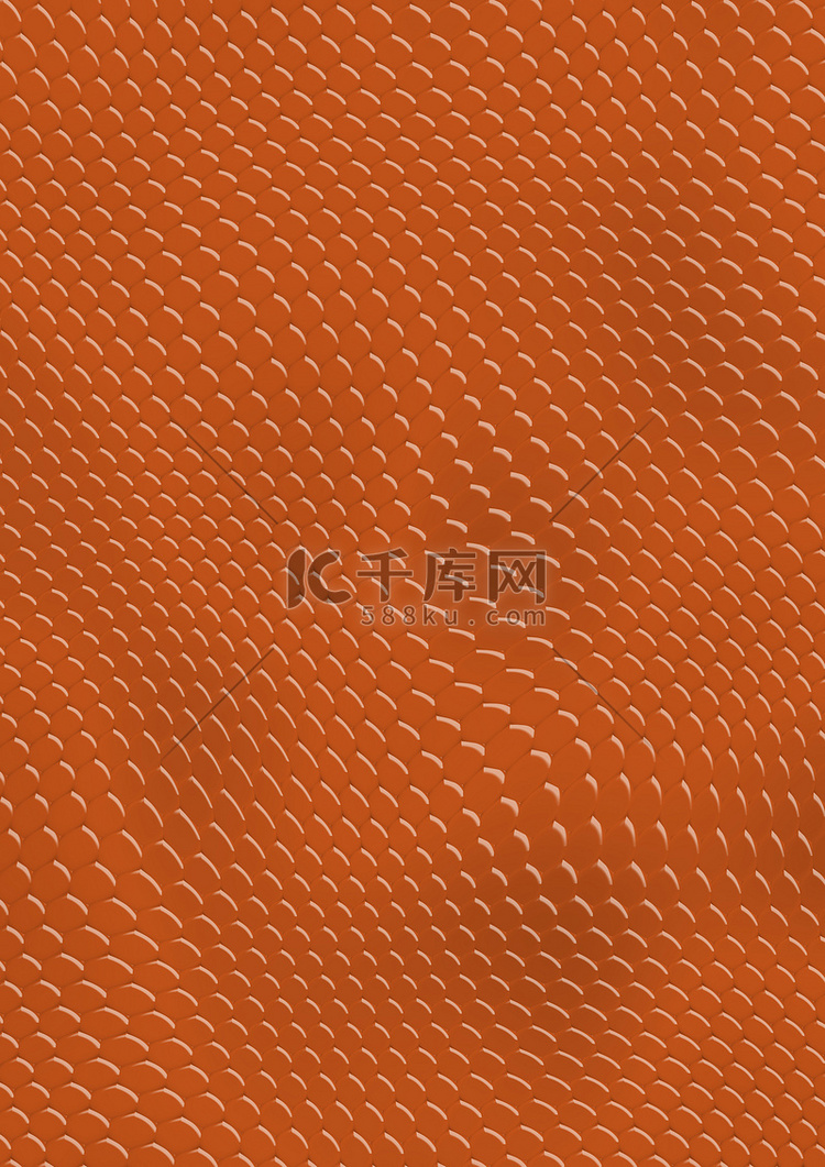 snakes_texture_red高清摄影大图-千库网