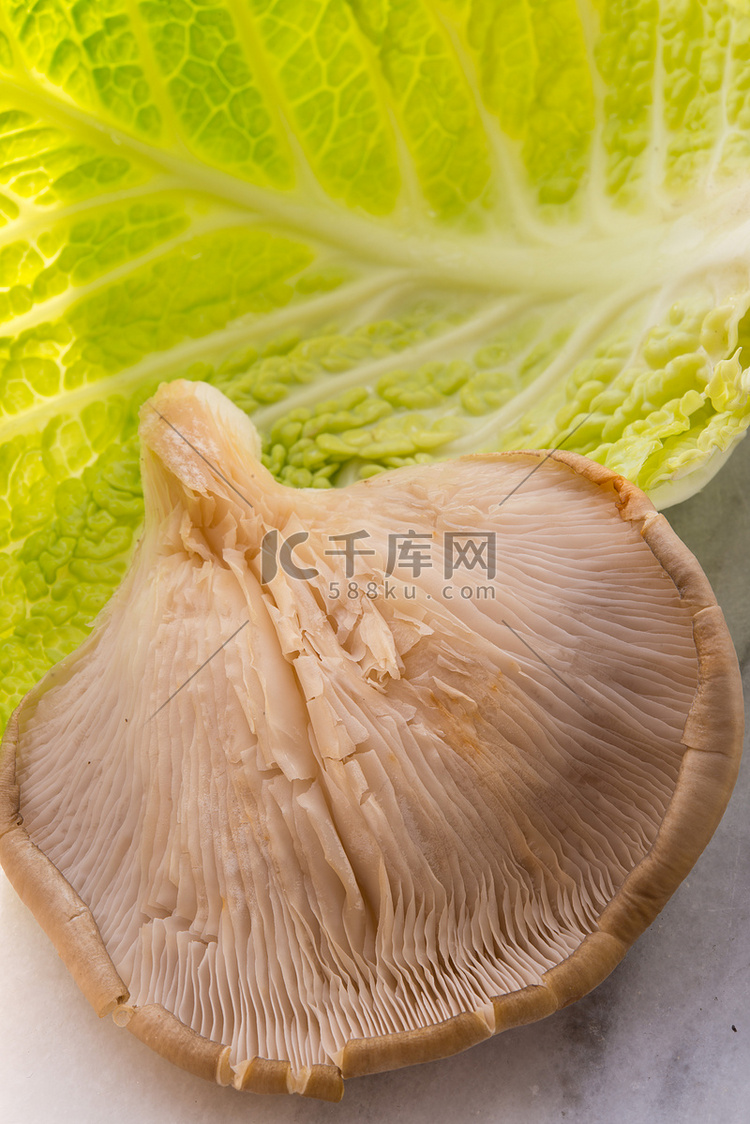 牡蛎高清摄影大图-千库网