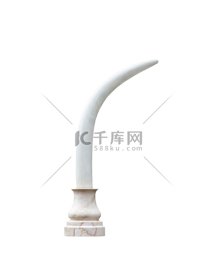 大象象牙高清摄影大图-千库网