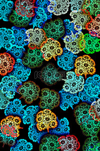 用鲜花图案高清摄影大图-千库网