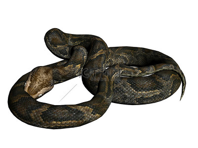 Python高清摄影大图-千库网