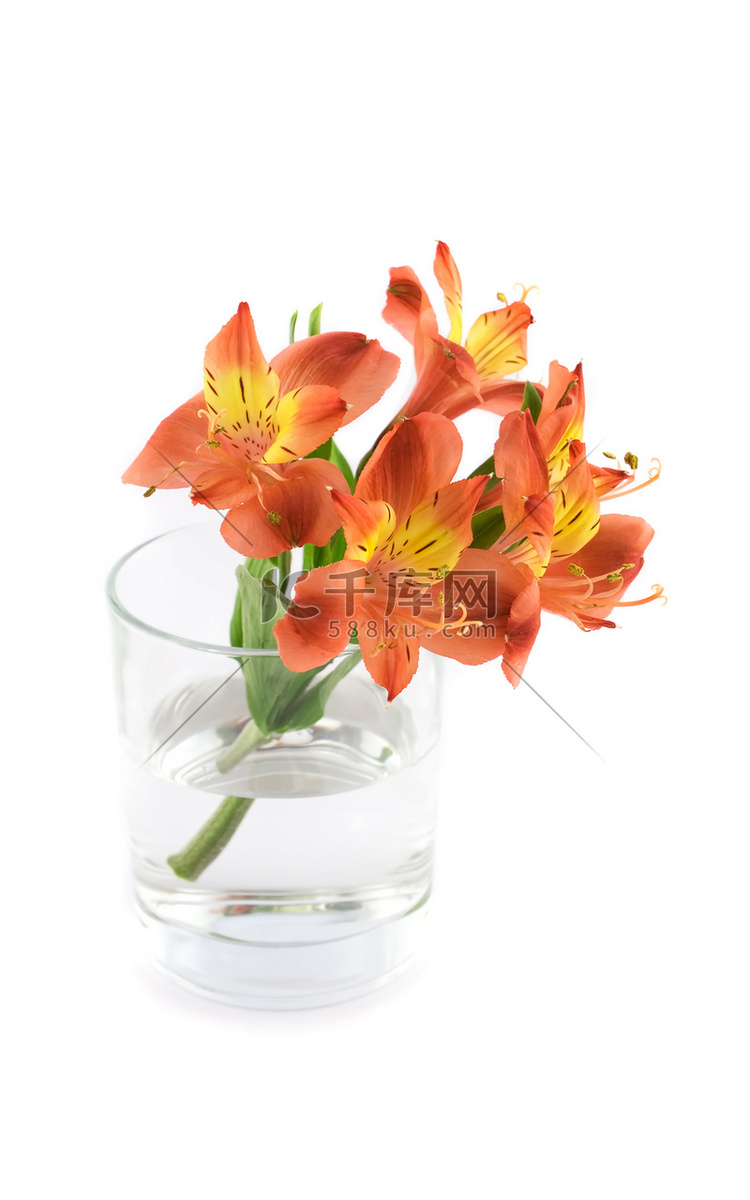 玻璃花瓶里的花高清摄影大图-千库网