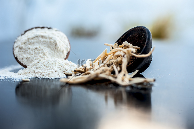 流行的印度和亚洲 Ayurvedic 有机草药 Musli Safed Moosli/ Shaqaqule/ Dholi Musli ...