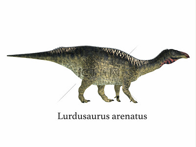 恐龙文案摄影图片-恐龙文案摄影作品-千库网