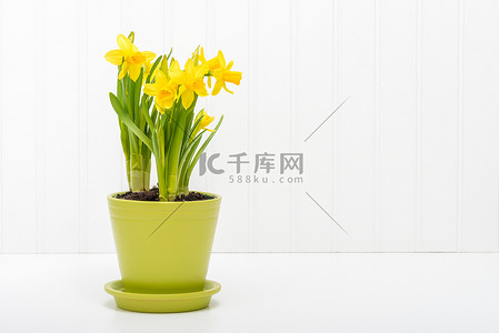 春天的花朵高清摄影大图-千库网