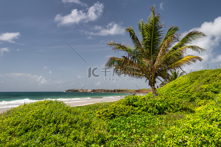 马提尼克岛的 Anse Trabaud 热带海滩高清摄影大图-千库网
