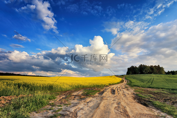 春天菜子田里的乡间小路高清摄影大图-千库网