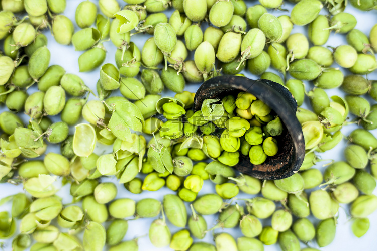 Ginjua 或 gingua 或鹰嘴豆或小鸡豆荚或埃及豆放在粘土碗里。高清摄影大图-千库网