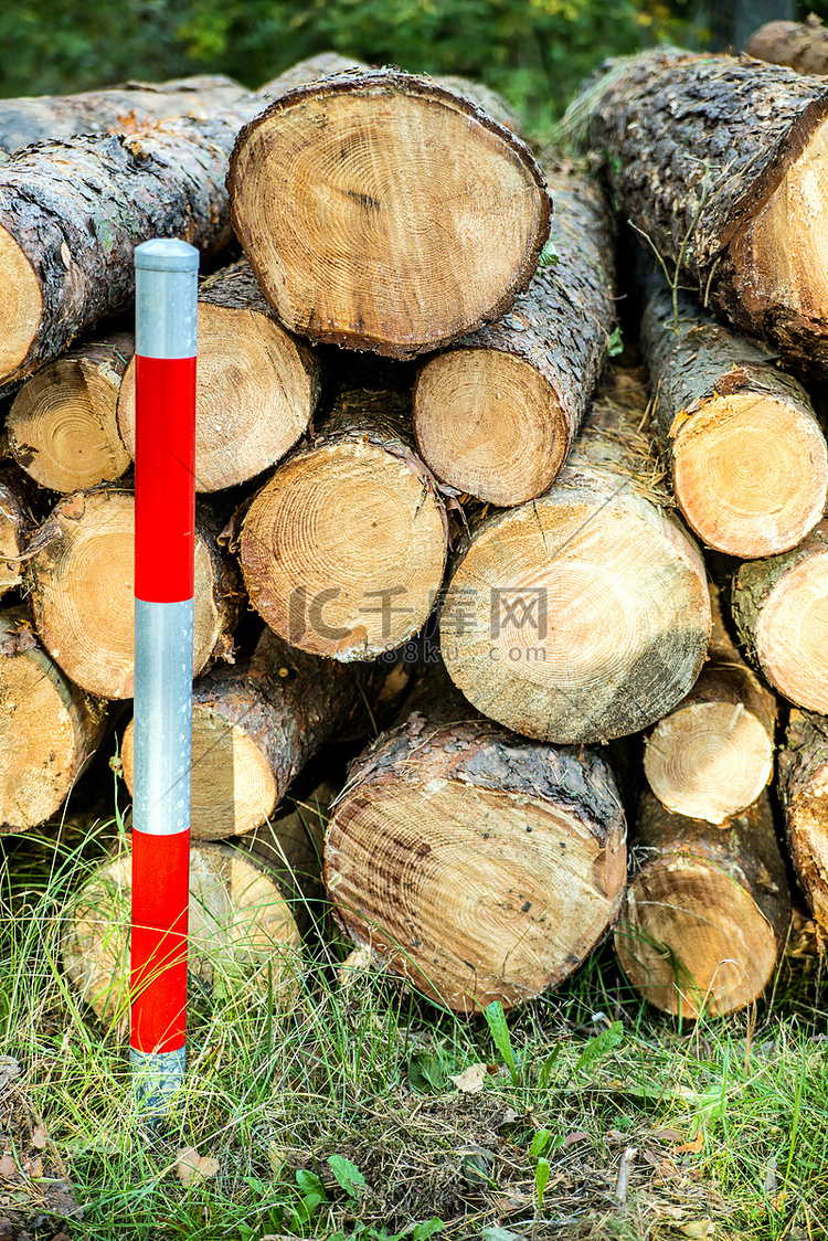 木材，锯齿状在森林中高清摄影大图-千库网