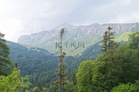 无标题高清摄影大图-千库网