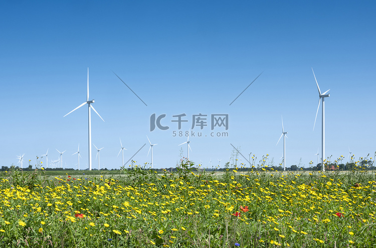 蓝天下的红黄夏花和风力涡轮机高清摄影大图-千库网