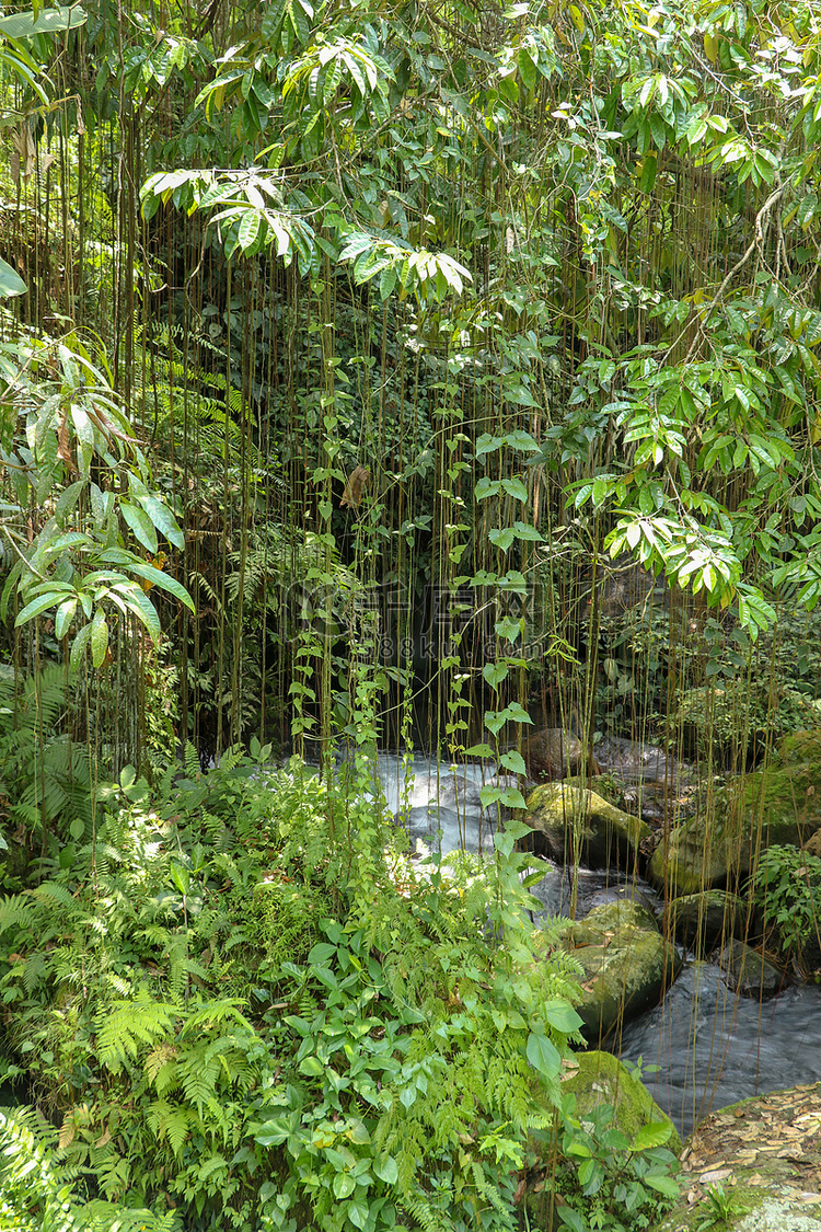 Pakerisan 山谷的河床，有狂野的水和大石头。高清摄影大图-千库网