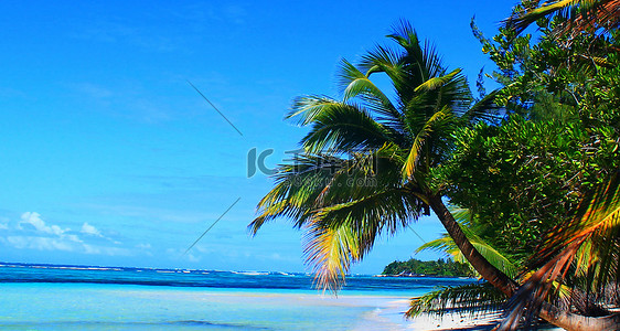 马达加斯加美丽图片高清摄影大图-千库网