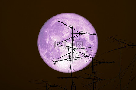 满乌鸦月亮回到夜空中的剪影天线高清摄影大图-千库网