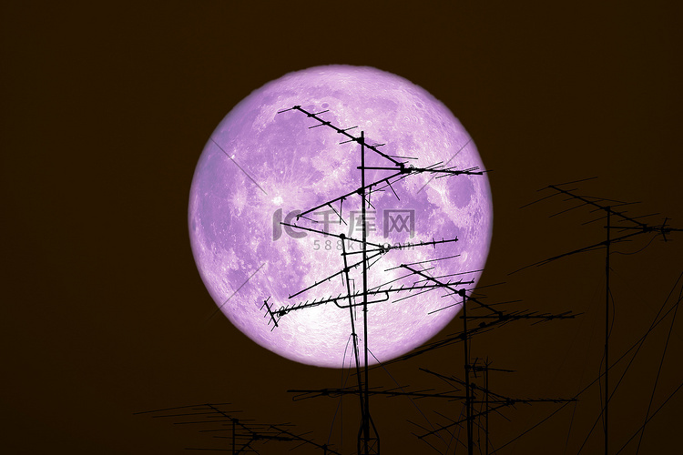 满乌鸦月亮回到夜空中的剪影天线高清摄影大图-千库网