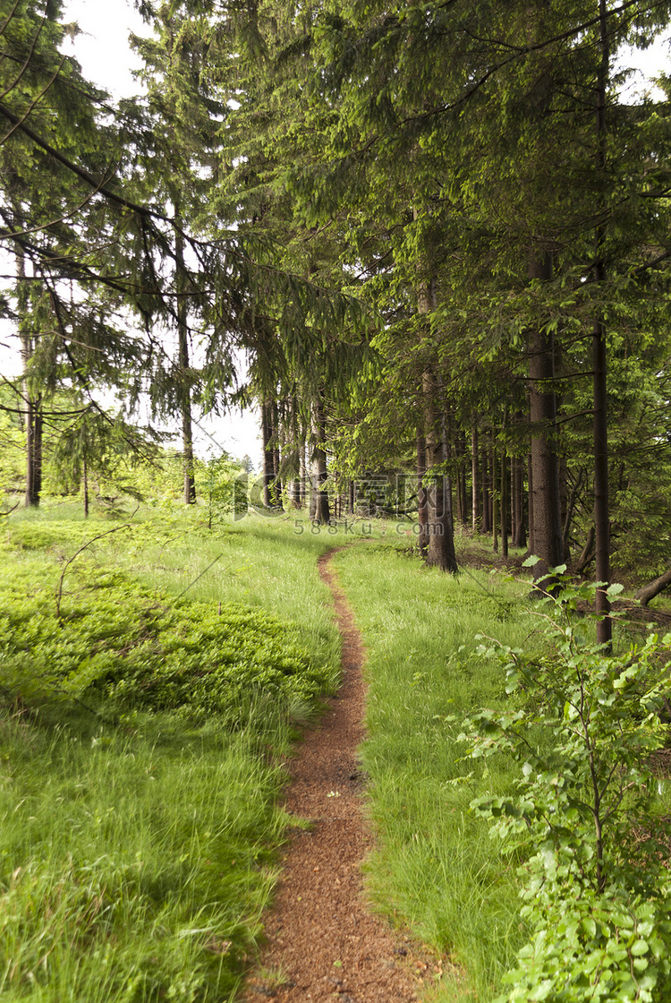 德国戈德斯泰格 (Goldsteig) 徒步路线高清摄影大图-千库网