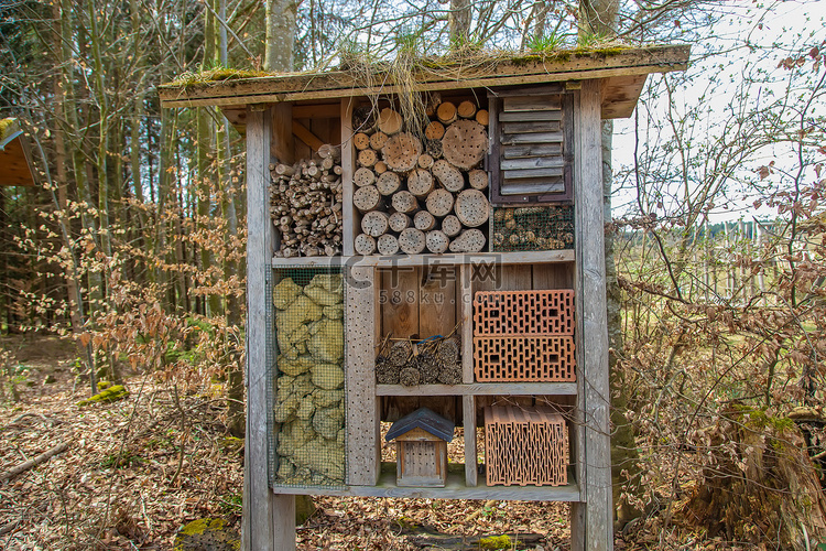 越冬昆虫的房子。高清摄影大图-千库网