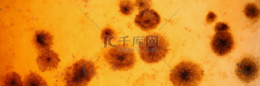 显微镜下的微生物在专业实验室设备下研究材料高清摄影大图-千库网