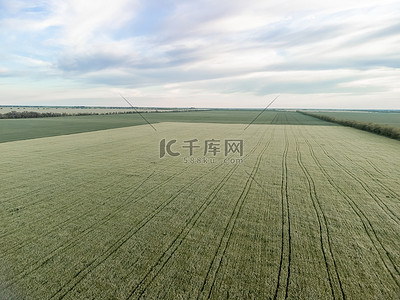 农村绿色麦田的鸟瞰图。高清摄影大图-千库网