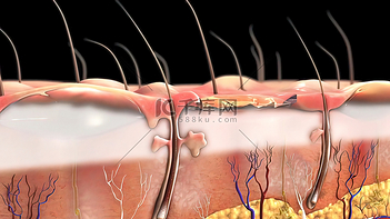 人体烧伤图片-人体烧伤素材-人体烧伤模板图片下载-千库网