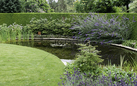 有植物花和水的英国庭院高清摄影大图-千库网