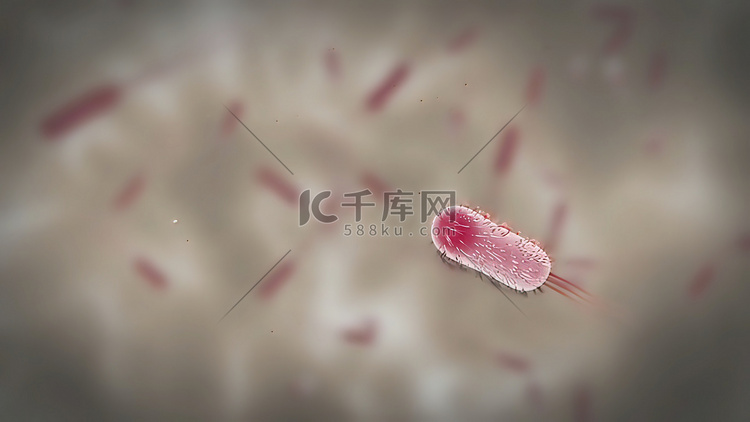 显微镜下的细菌高清摄影大图-千库网