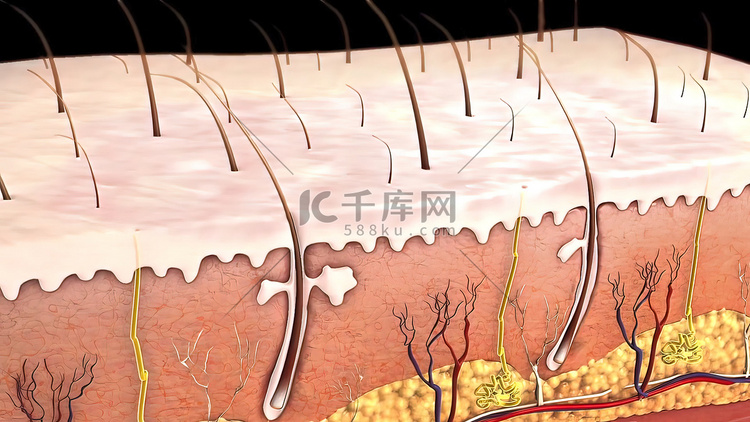 人体皮肤严重烧伤高清摄影大图-千库网