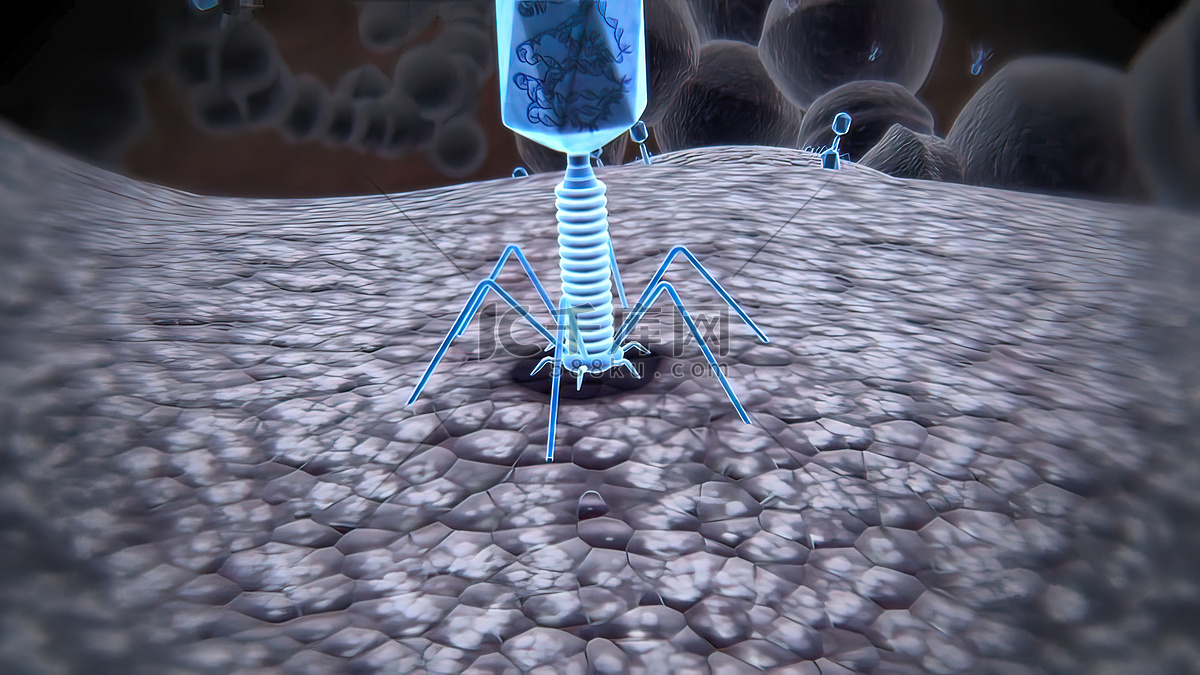 噬菌体病毒通过注入 DNA 在细菌内复制来杀死细菌高清摄影大图-千库网