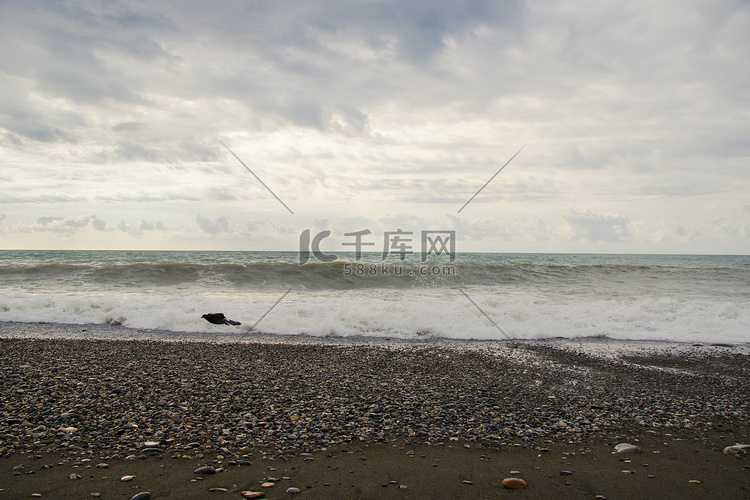 格鲁吉亚巴统的暴风雨天气、鸟类、海浪和飞溅。高清摄影大图-千库网