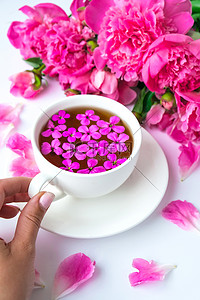 粉红色牡丹花的创意布局。高清摄影大图-千库网