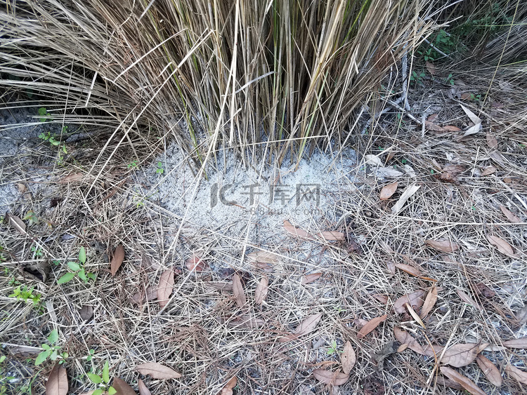 带沙子和户外地面的棕色草地高清摄影大图-千库网