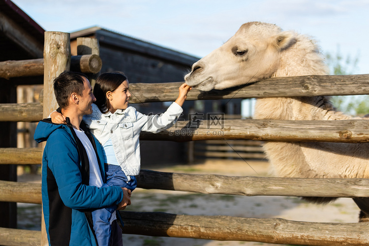 美丽的小女孩在动物园的鸟舍里喂驼峰骆驼高清摄影大图-千库网