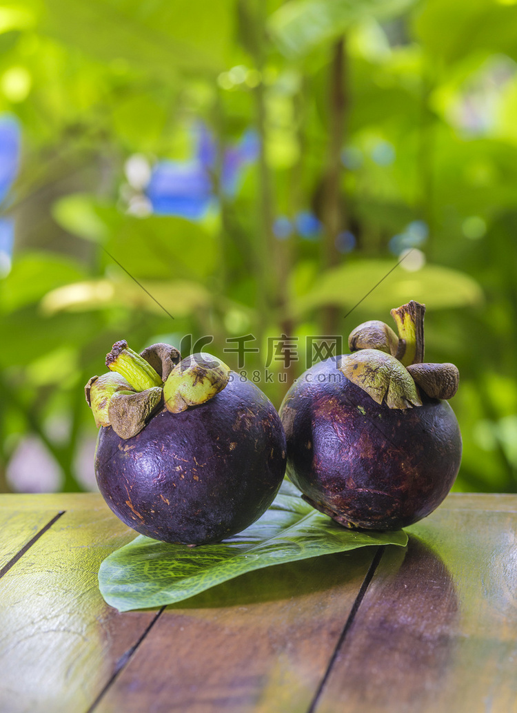 山竹和新鲜绿叶高清摄影大图-千库网