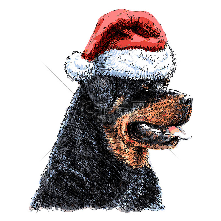 罗威纳犬高清摄影大图-千库网