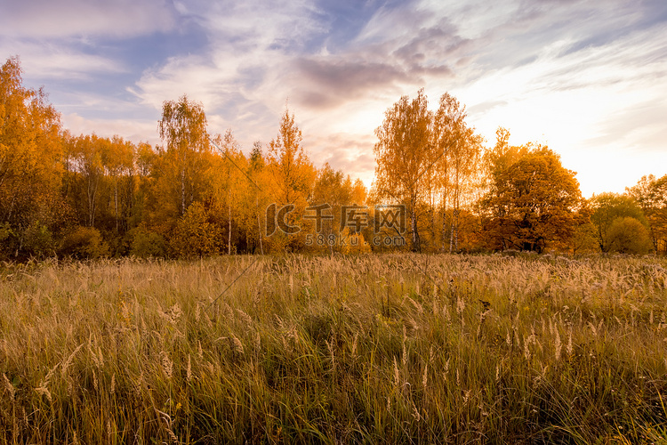 在金色的秋天，草地和树木在田野上落日。高清摄影大图-千库网